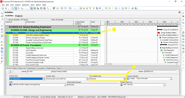 Guide: How to Use Activity Steps in Primavera P6
