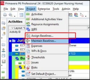 Progress Line in Primavera P6 | Schedule Tracking Tool