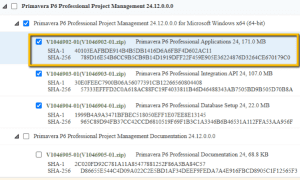 Primavera P6 Professional Free Trial: Easy Installation Guide