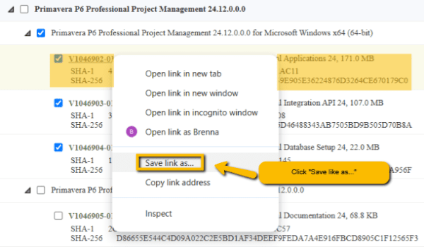 Primavera P6 Professional Free Trial: Easy Installation Guide